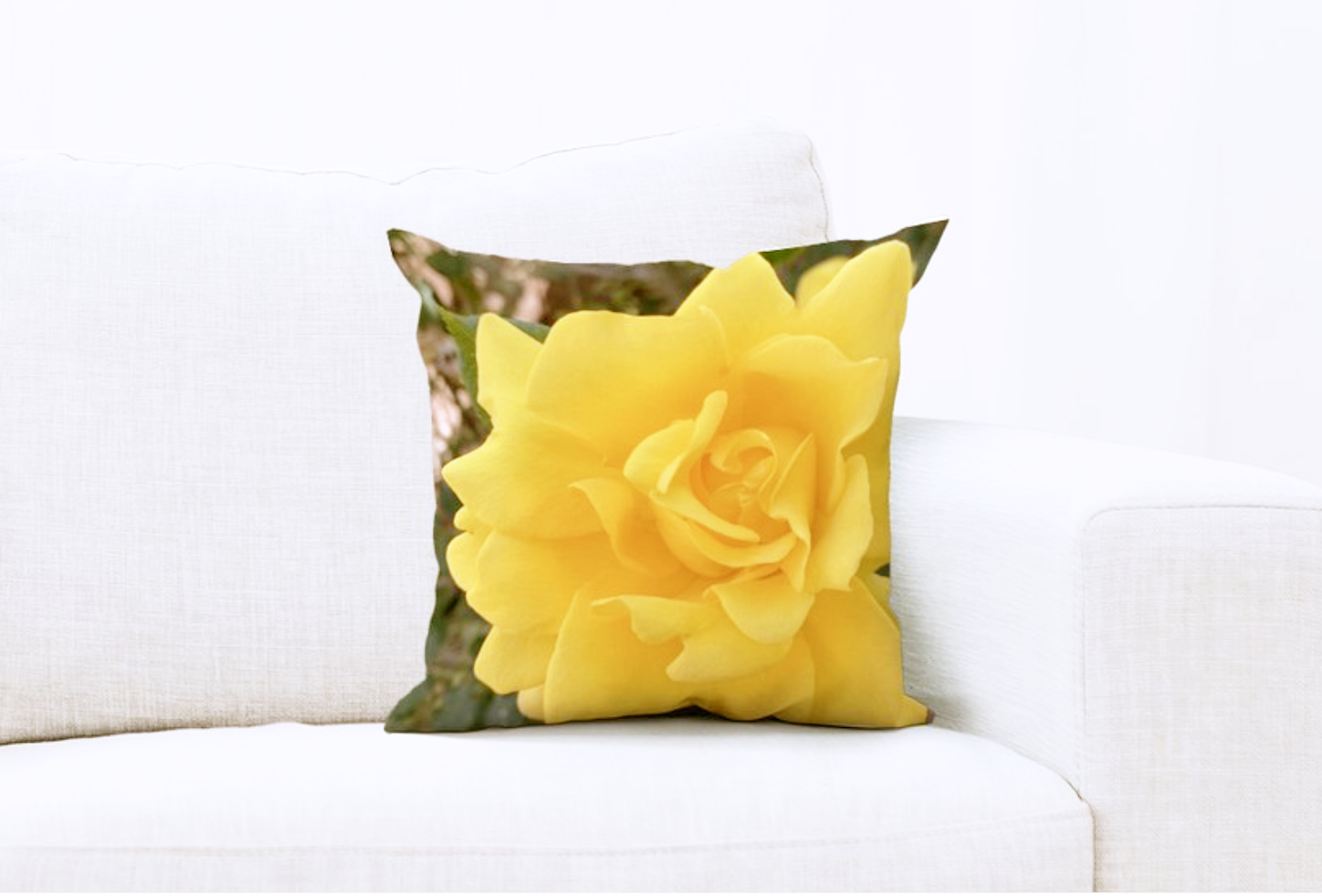 HENRY FONDA ROSE – Rosalind Williams Fine Art